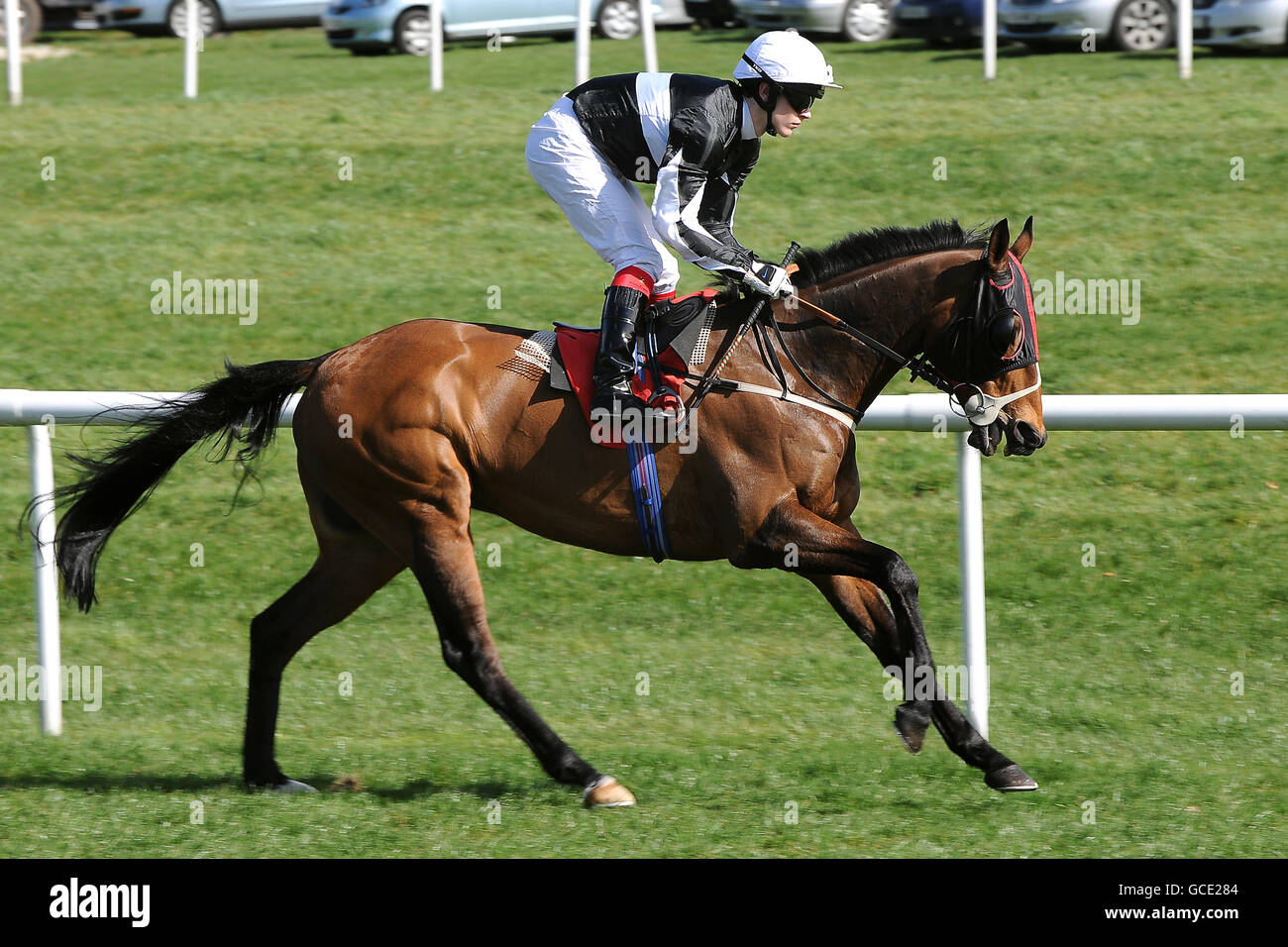 Patrick millman hi-res stock photography and images - Alamy