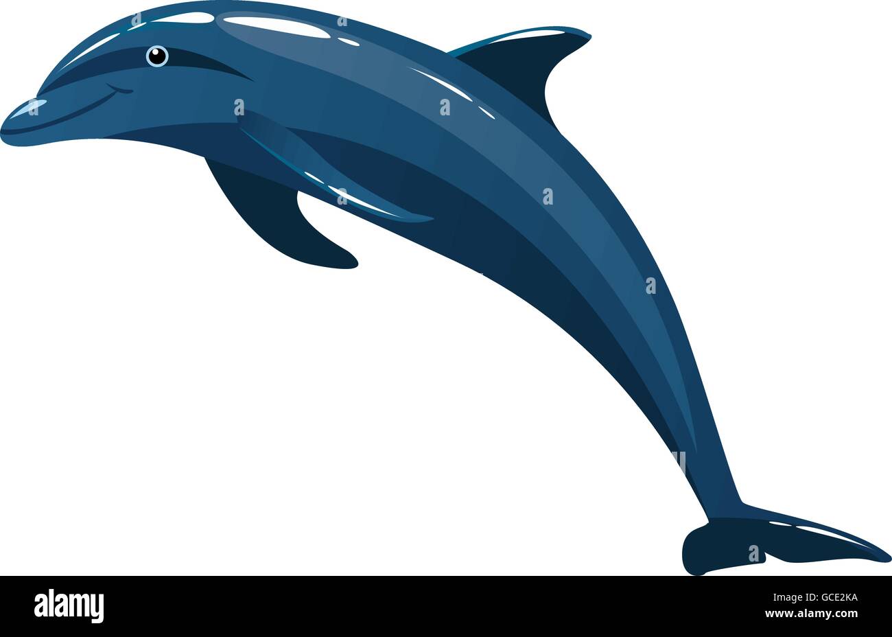 Cute colorful dolphin isolated on white background Stock Vector Image ...