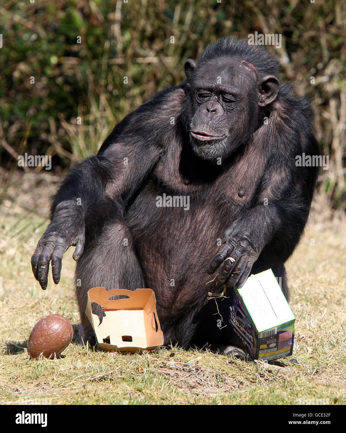 Pa andrew milligan wire hi-res stock photography and images - Alamy