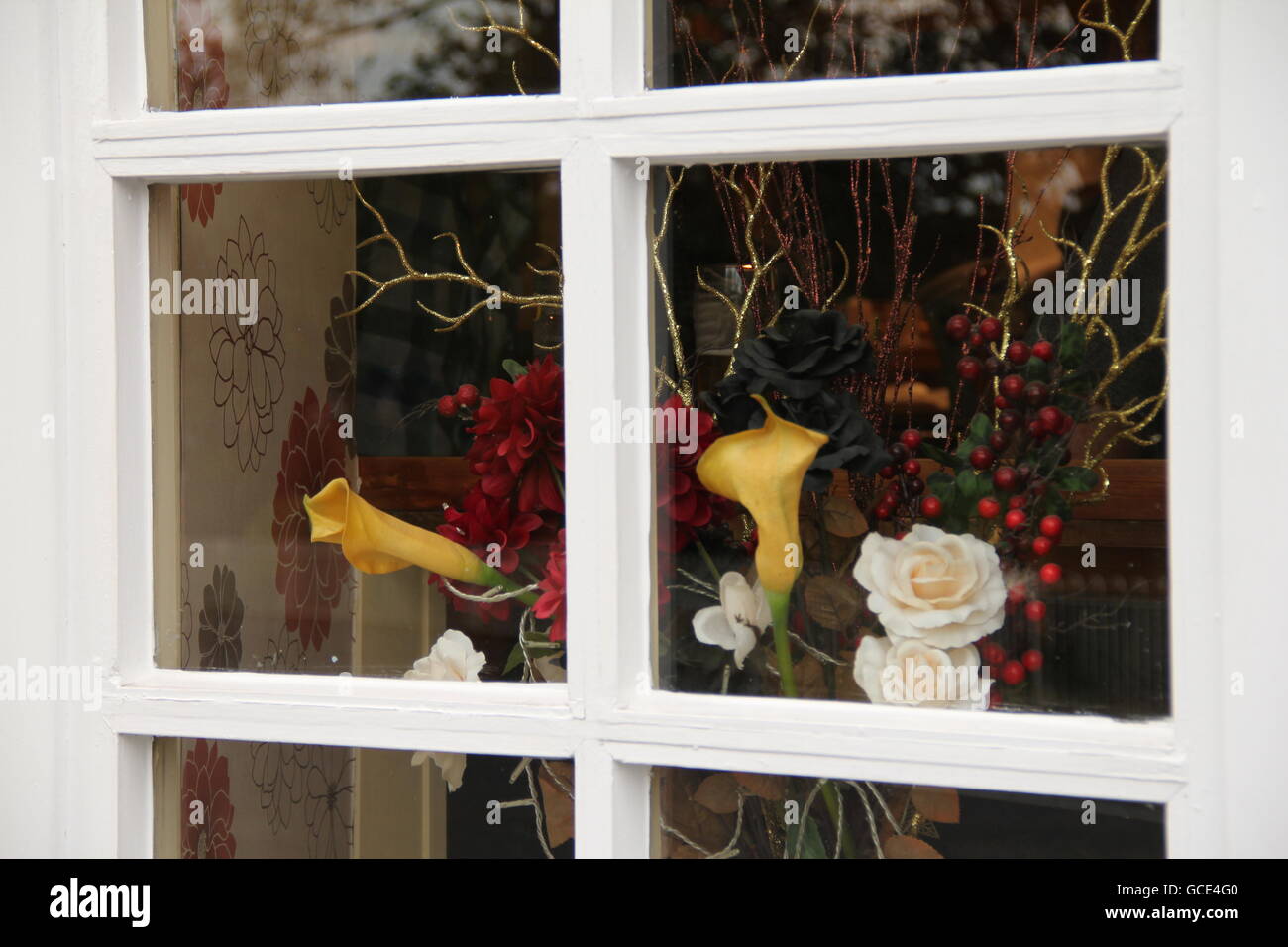 Flowers through the window Stock Photo - Alamy