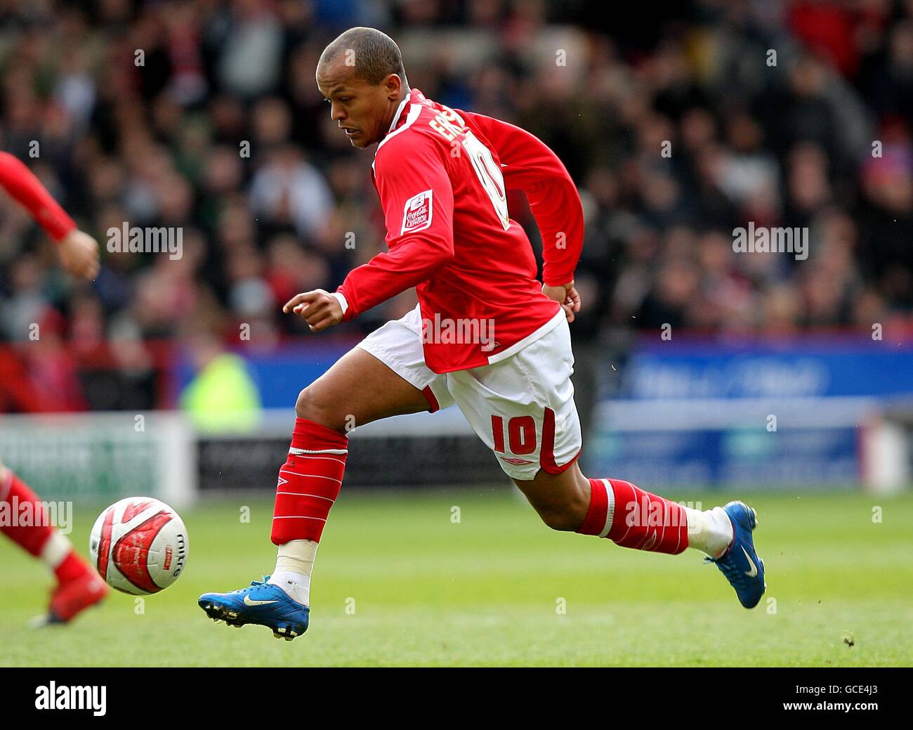 Robert earnshaw forest hi-res stock photography and images - Alamy