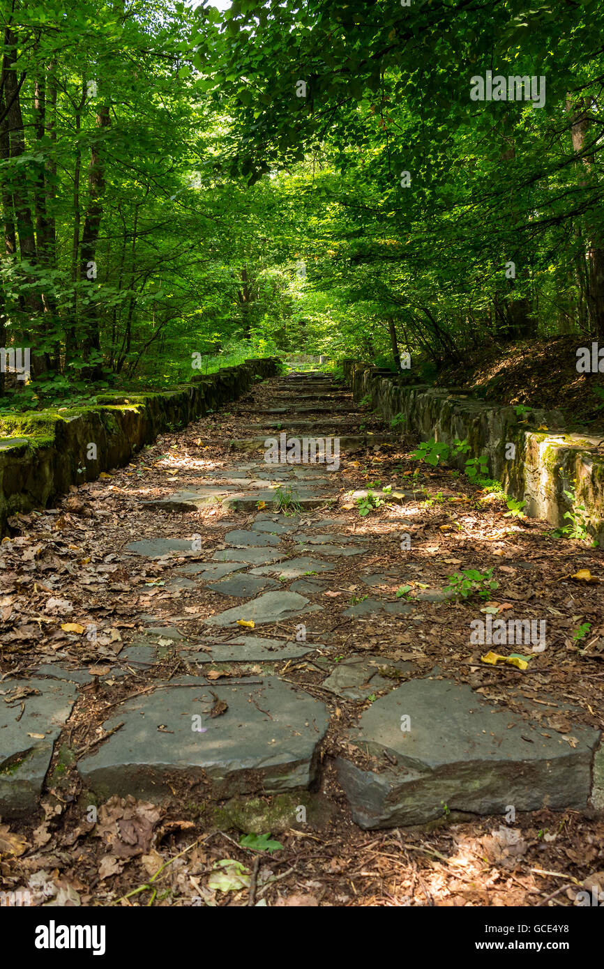winding path with steps made of stone among the trees in a city park is ...