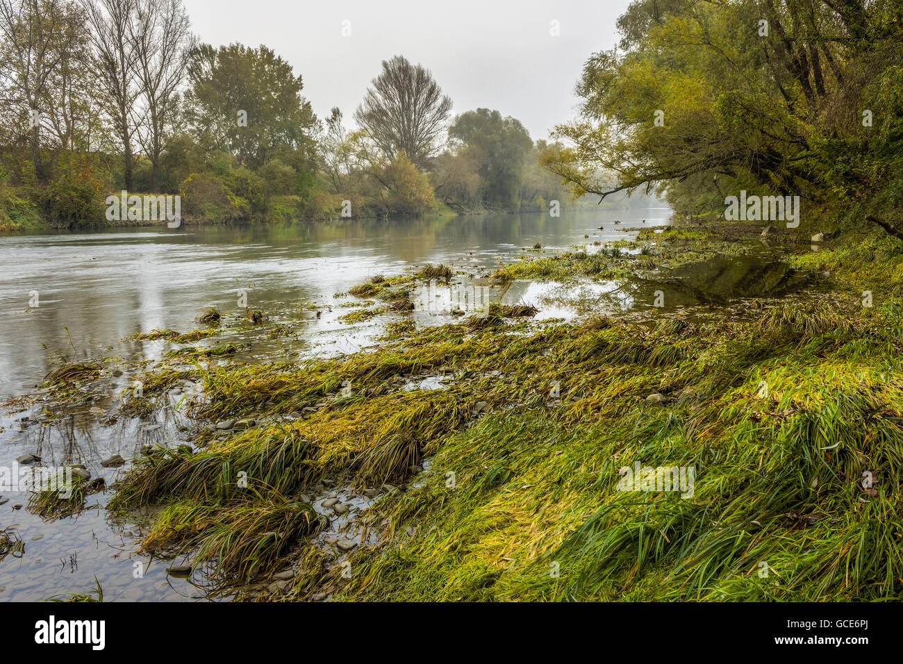 Natural stream bank hi-res stock photography and images - Alamy