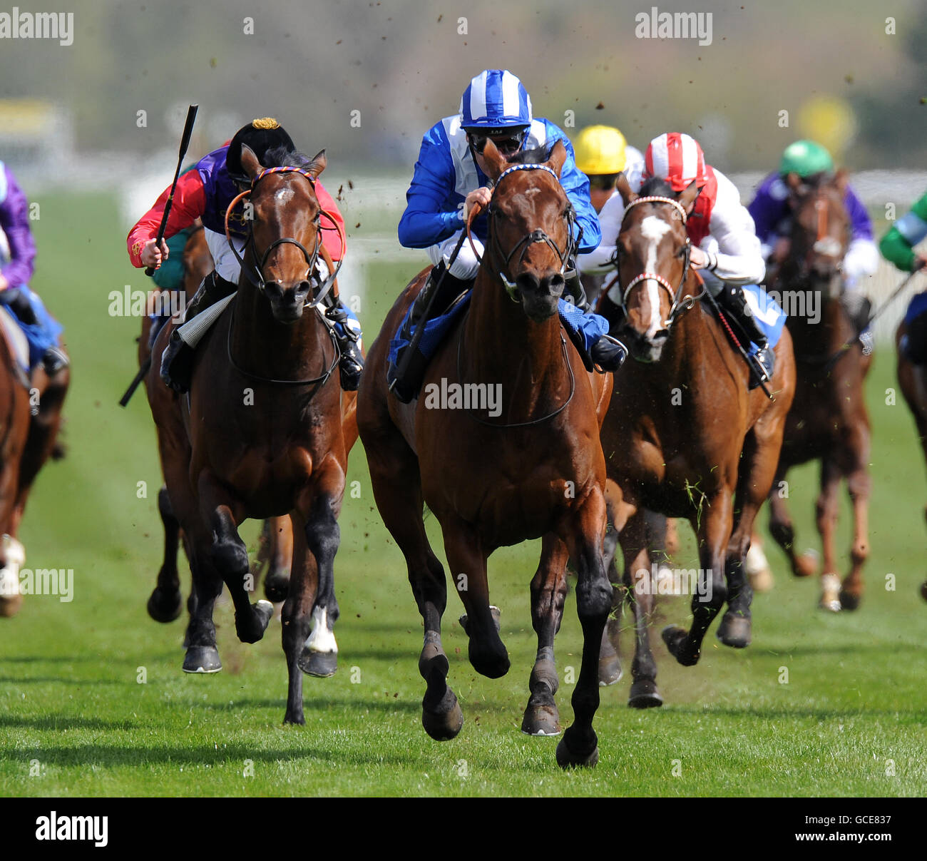 Queens racing colours hi-res stock photography and images - Alamy