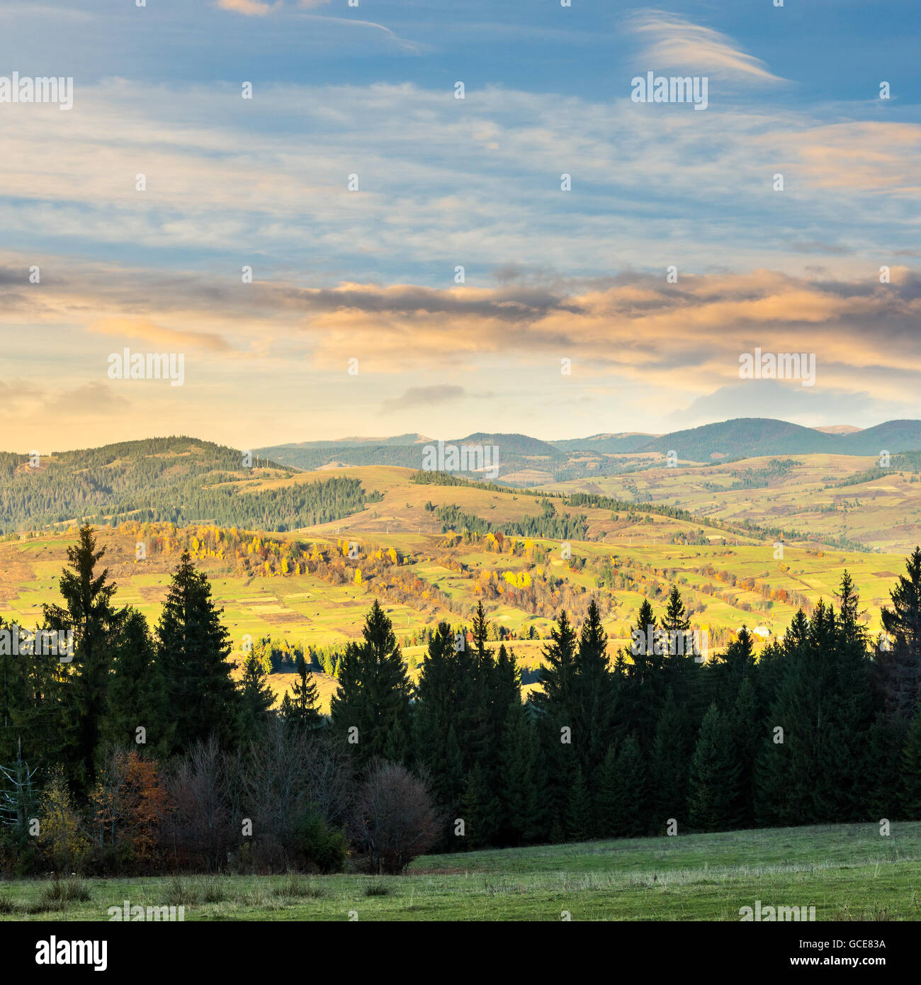 Hillside covered with fall colors hi-res stock photography and images ...
