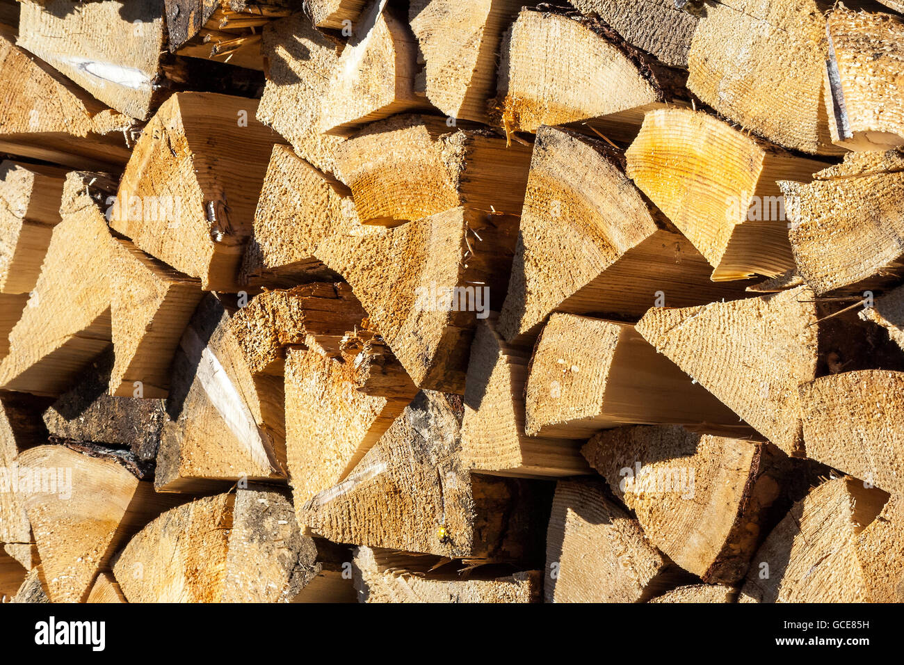 Yellow dry chopped conifer firewood logs background in a pile outdoor ...