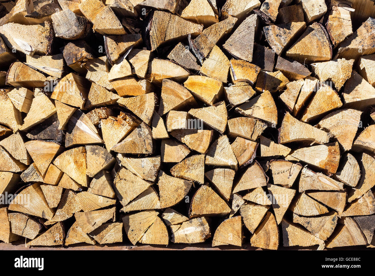 Yellow dry chopped conifer firewood logs background in a pile outdoor ...