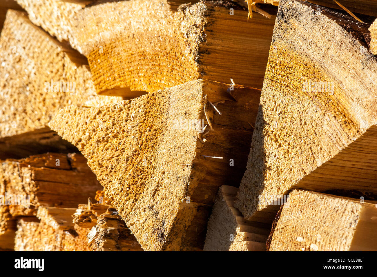 Yellow dry chopped conifer firewood logs background in a pile outdoor ...