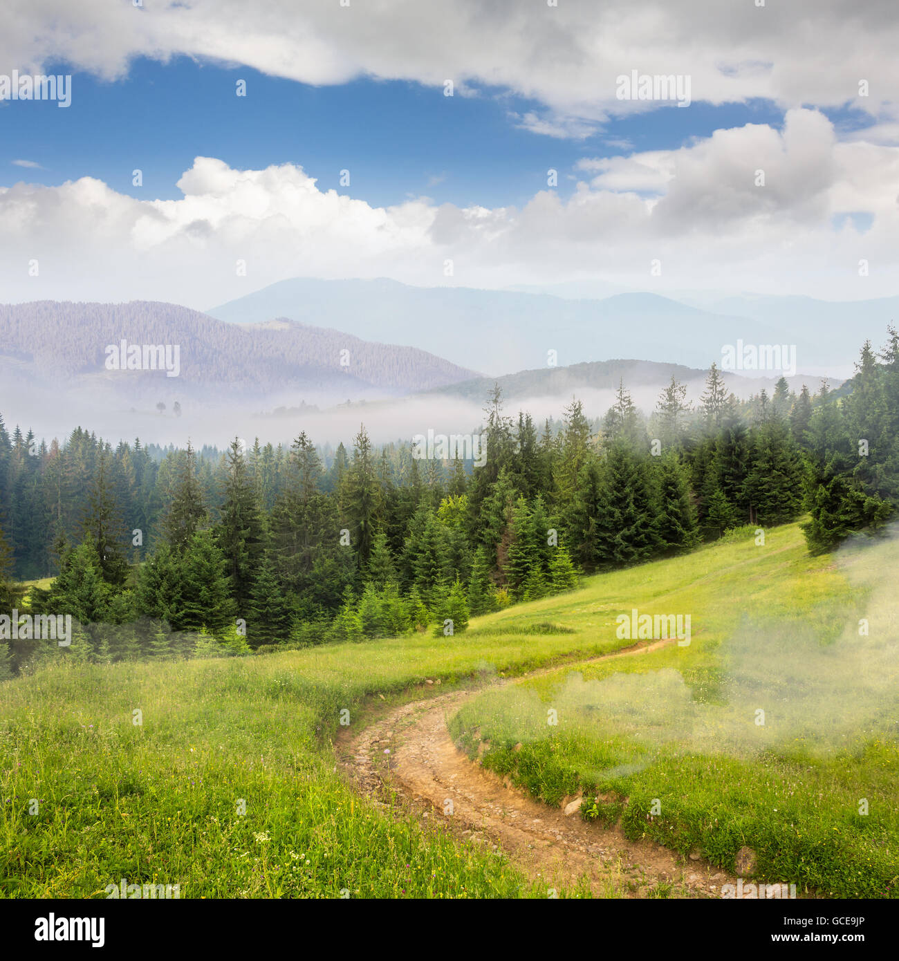 slope of mountain range with pine forest and path. collage Stock Photo ...
