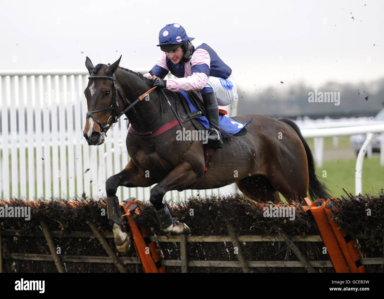 Horse Racing - Kempton Park Racecourse Stock Photo - Alamy