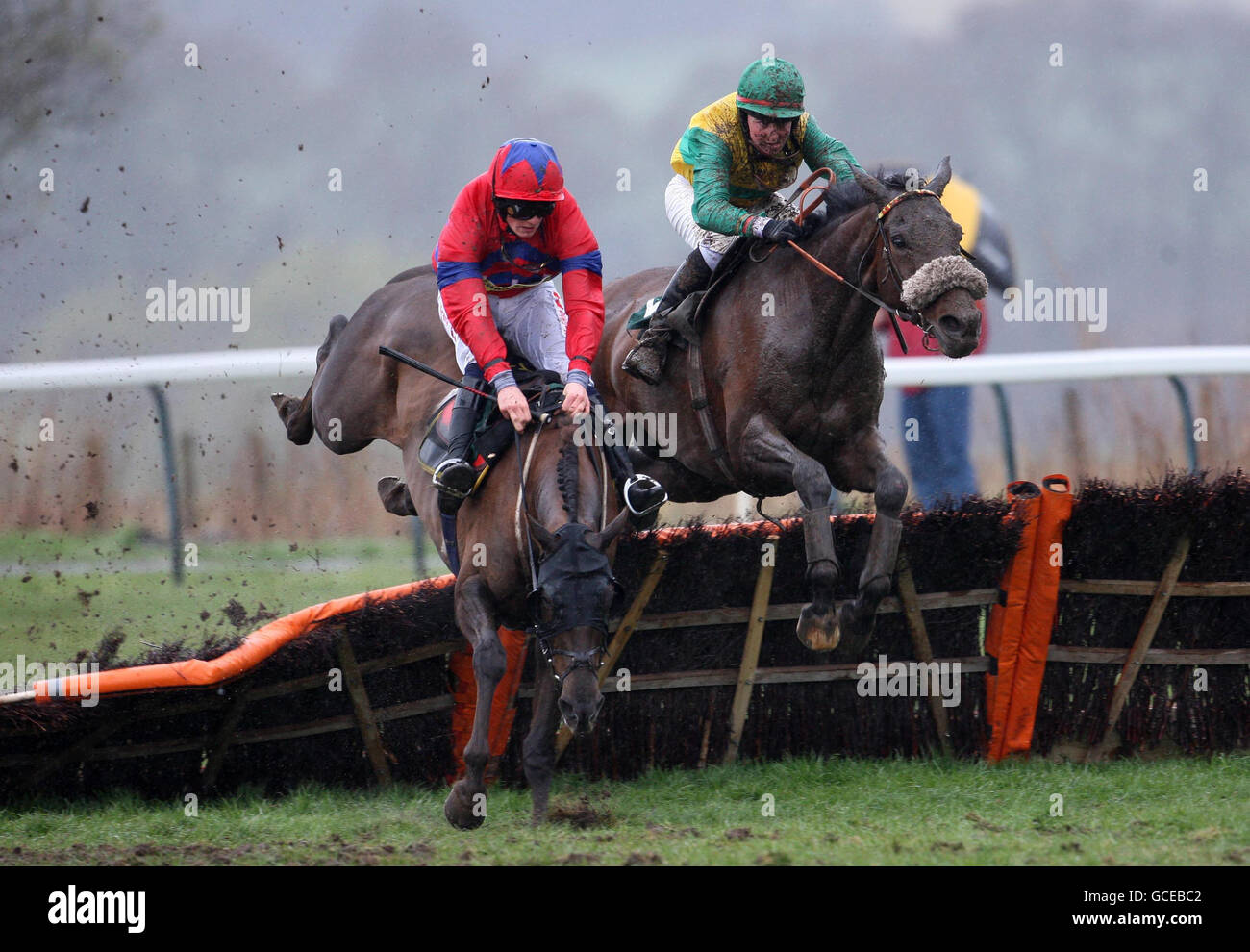 Perth horse racing scotland hi-res stock photography and images - Alamy