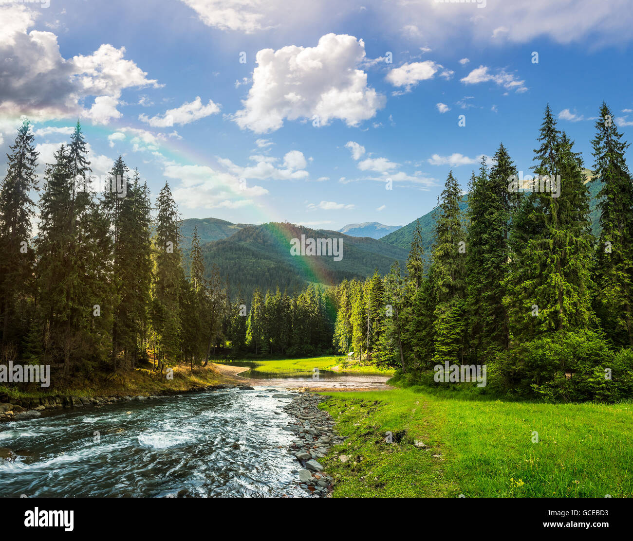 collage landscape with pine trees in mountains and a river in front ...