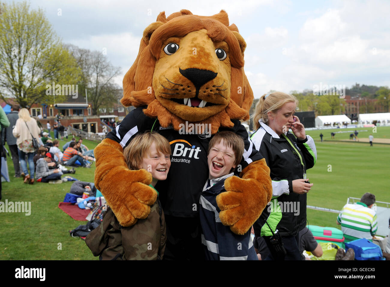 Lion School Mascot High Resolution Stock Photography and Images - Alamy