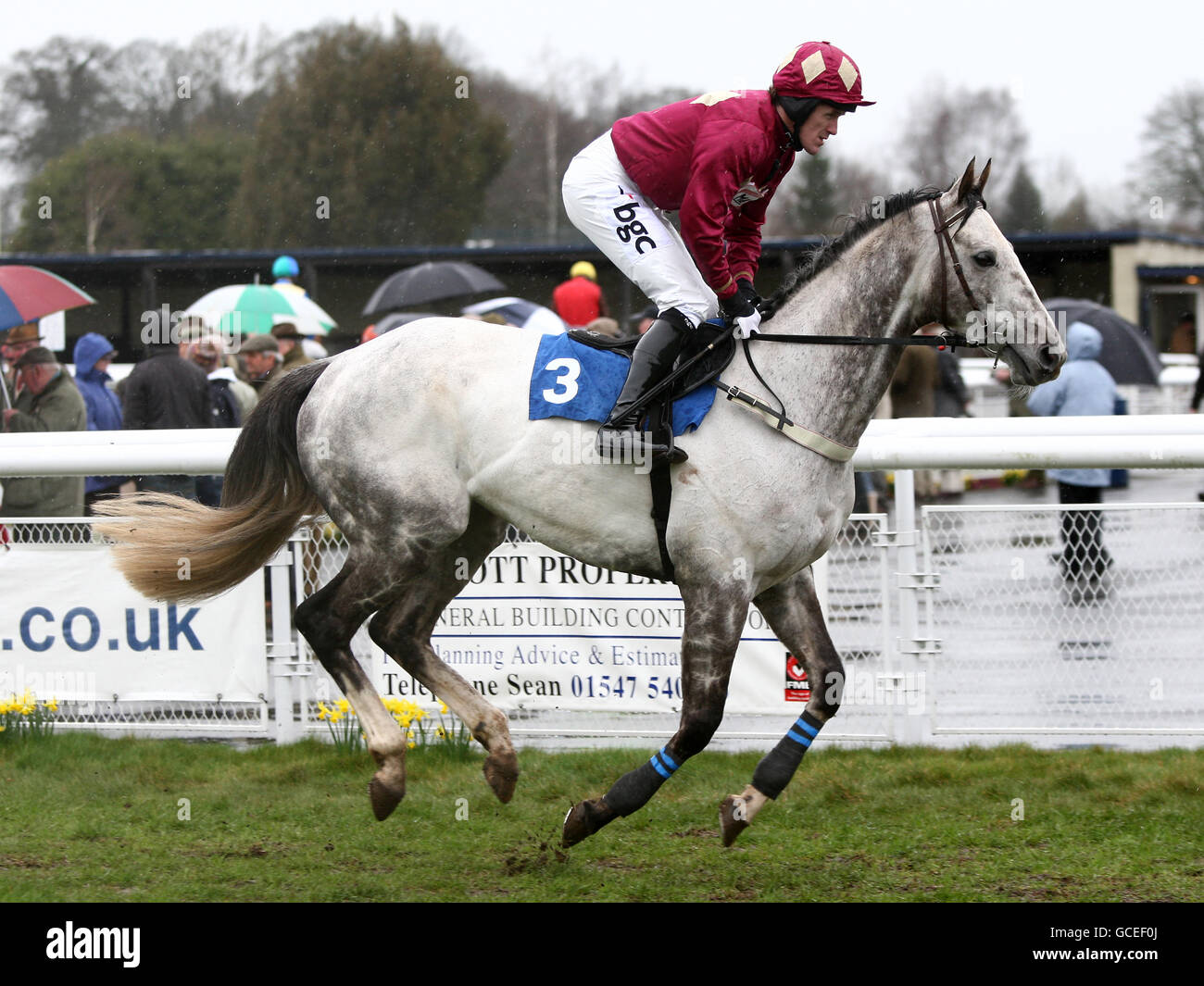Horse Racing - Ludlow Racecourse Stock Photo - Alamy