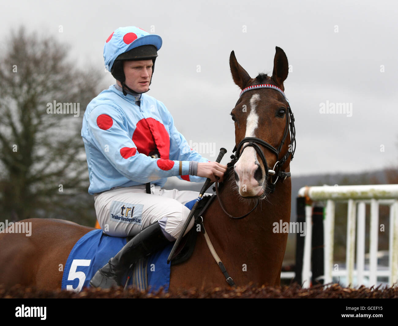 Horse Racing - Ludlow Racecourse Stock Photo - Alamy