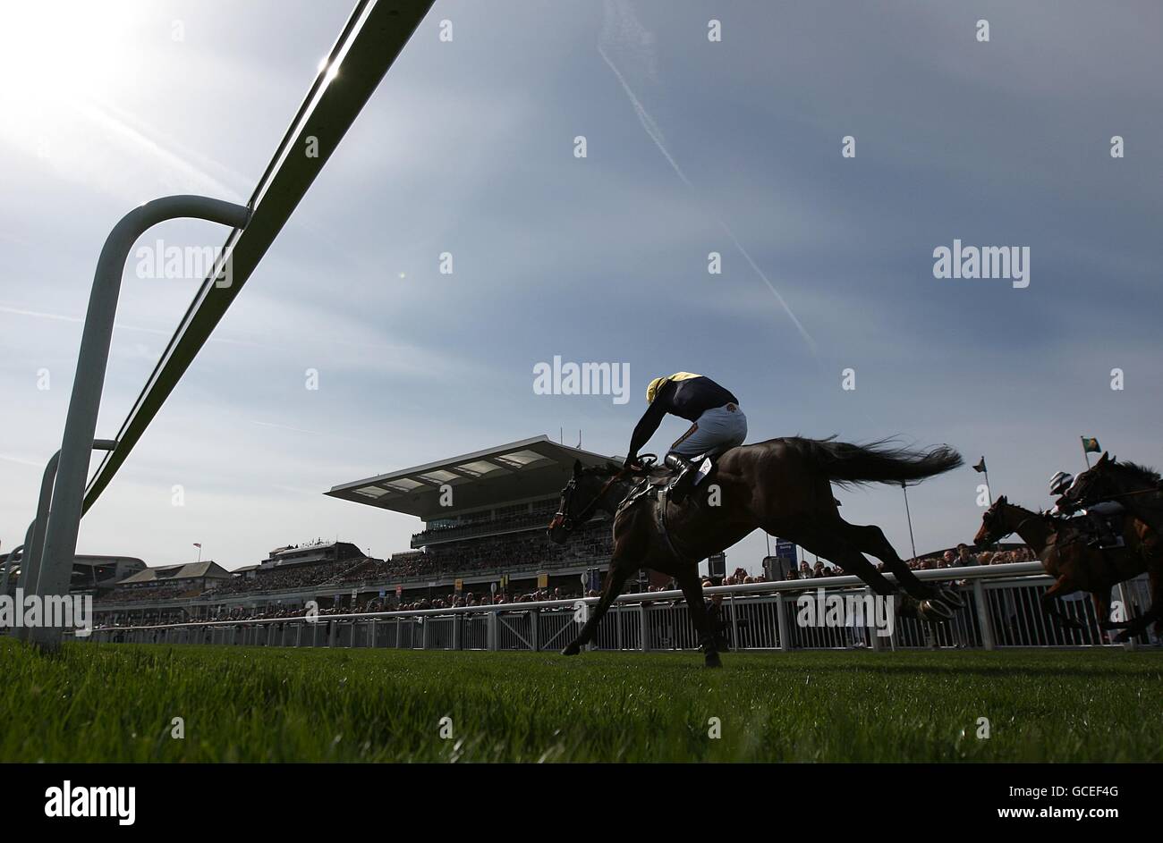 Jockey davy condon hi-res stock photography and images - Alamy