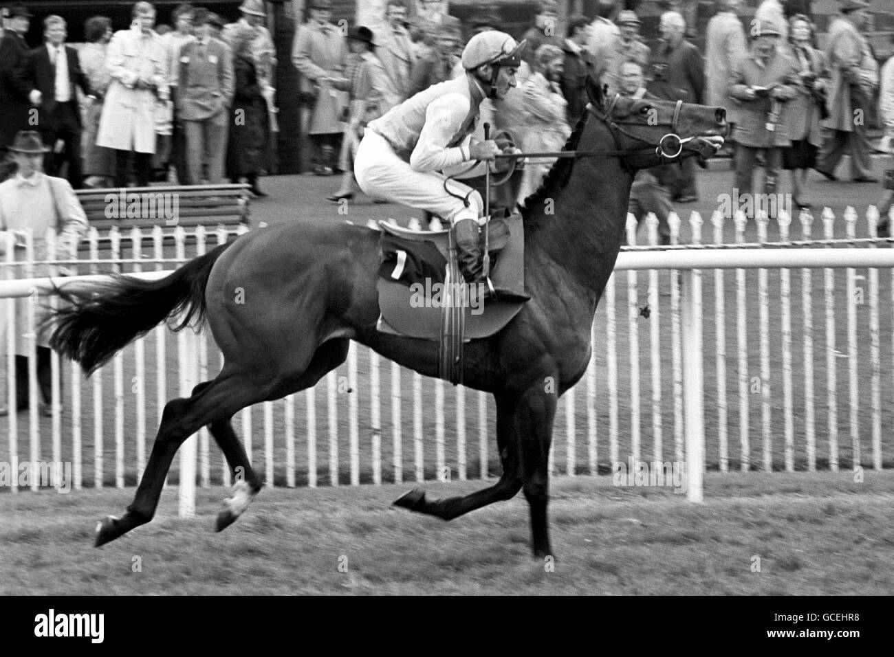 Highland spring derby trial hi-res stock photography and images - Alamy