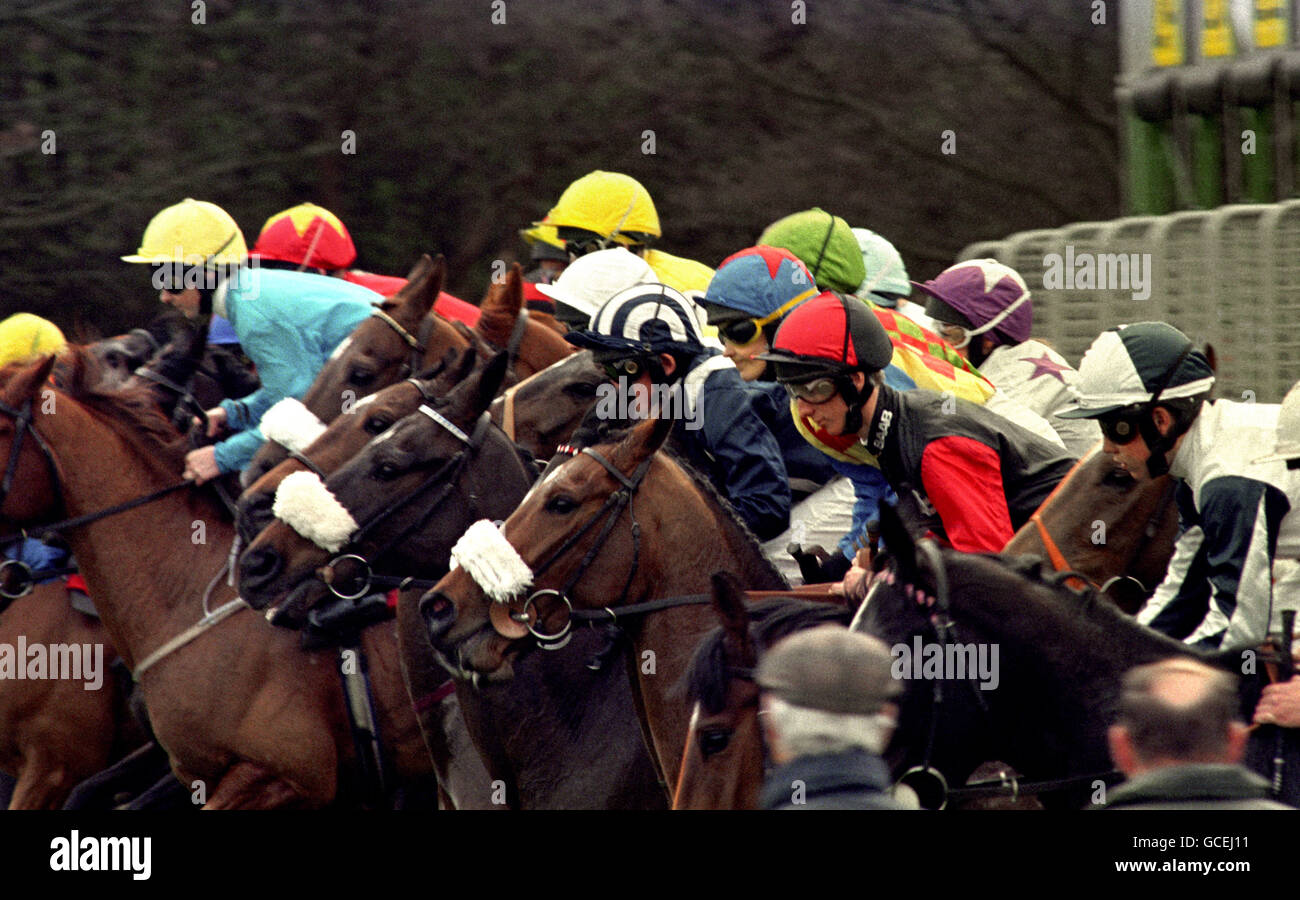 THEY'RE OFF FOR THE START OF THE 1997 FLAT TURF RACING SEASON AND ...
