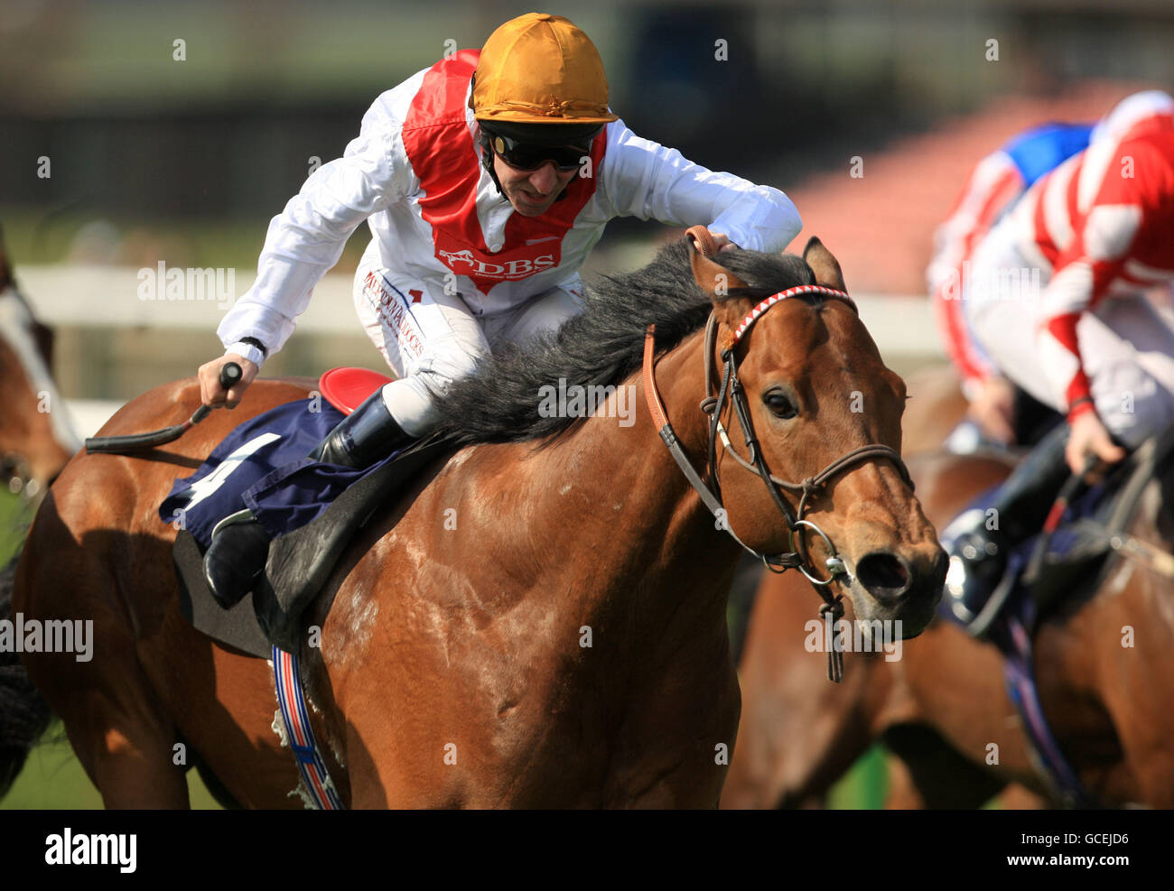 Horse Racing - The Craven Meeting - Day Two - Newmarket Racecourse ...