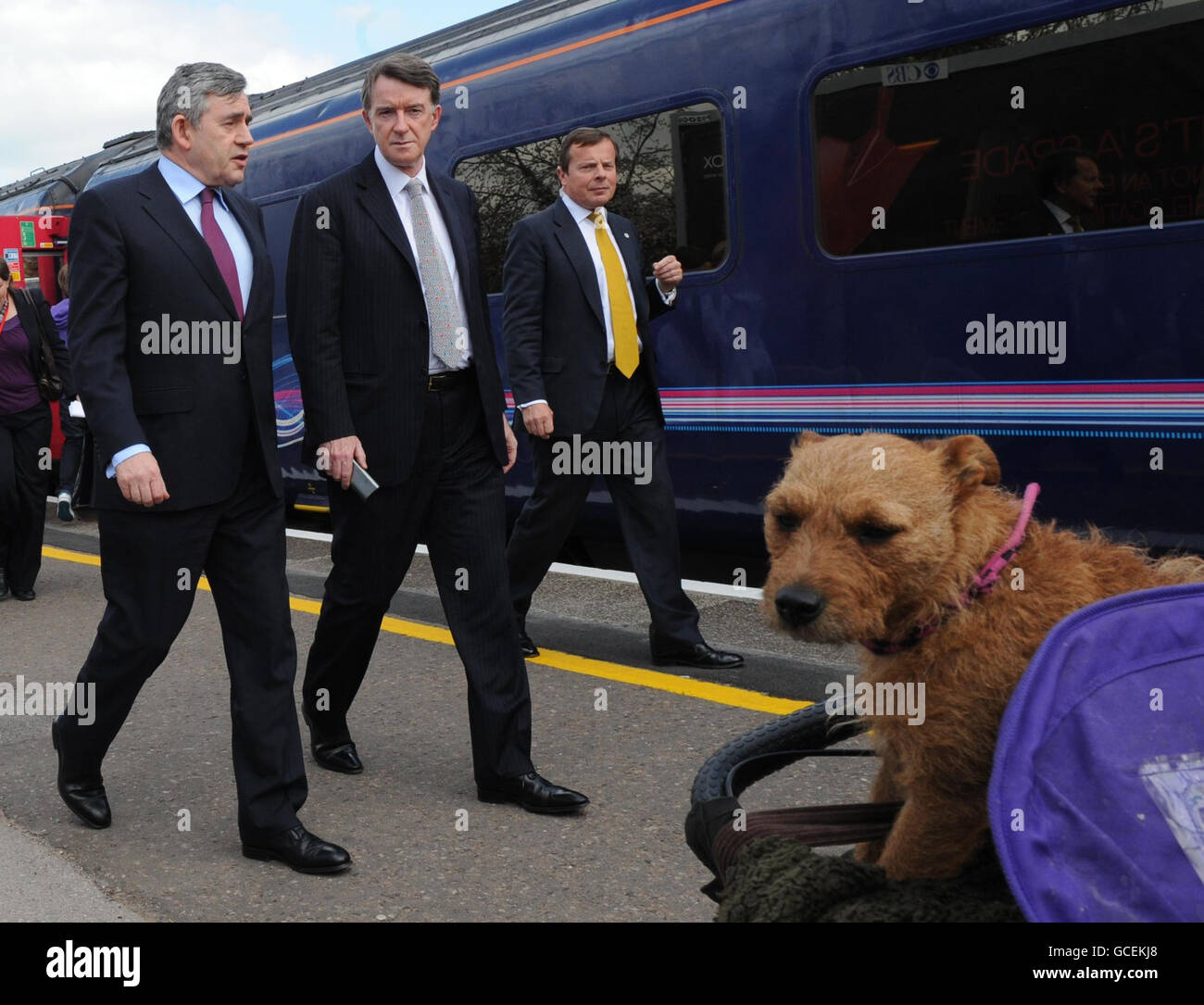 Political election dog hi-res stock photography and images - Alamy