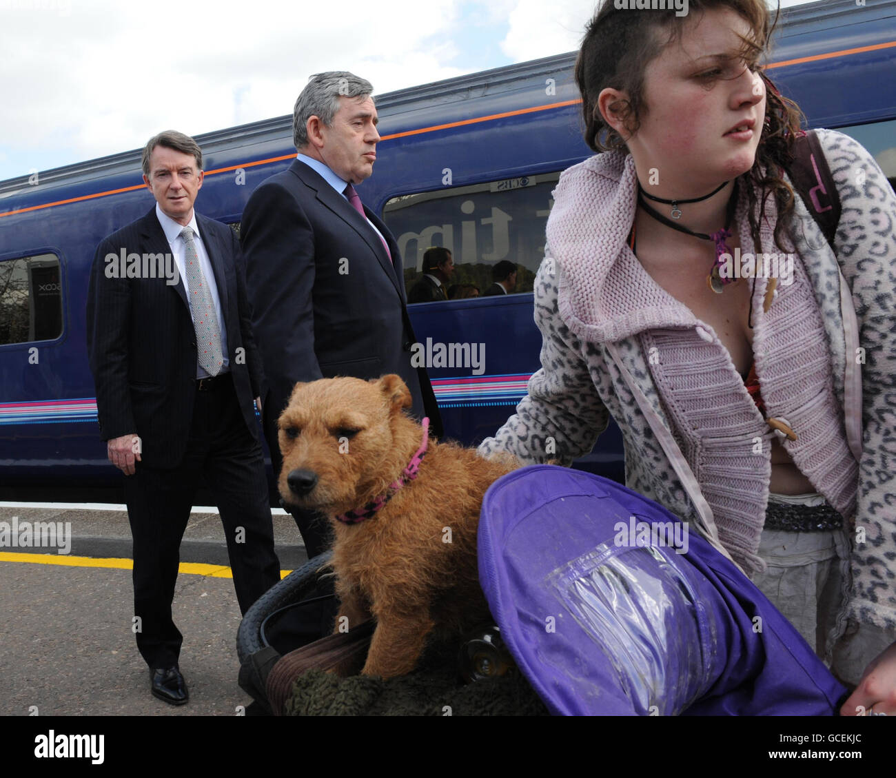 Dog politics peter mandelson hi-res stock photography and images - Alamy