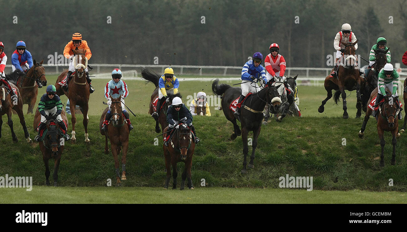 Horse Racing - Punchestown Festival 2010 - Boylesports.com Champion ...