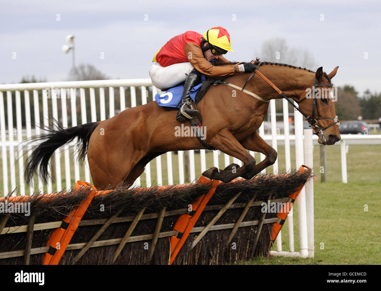 Horse racing at the races raceday plumpton racecourse hi-res stock ...