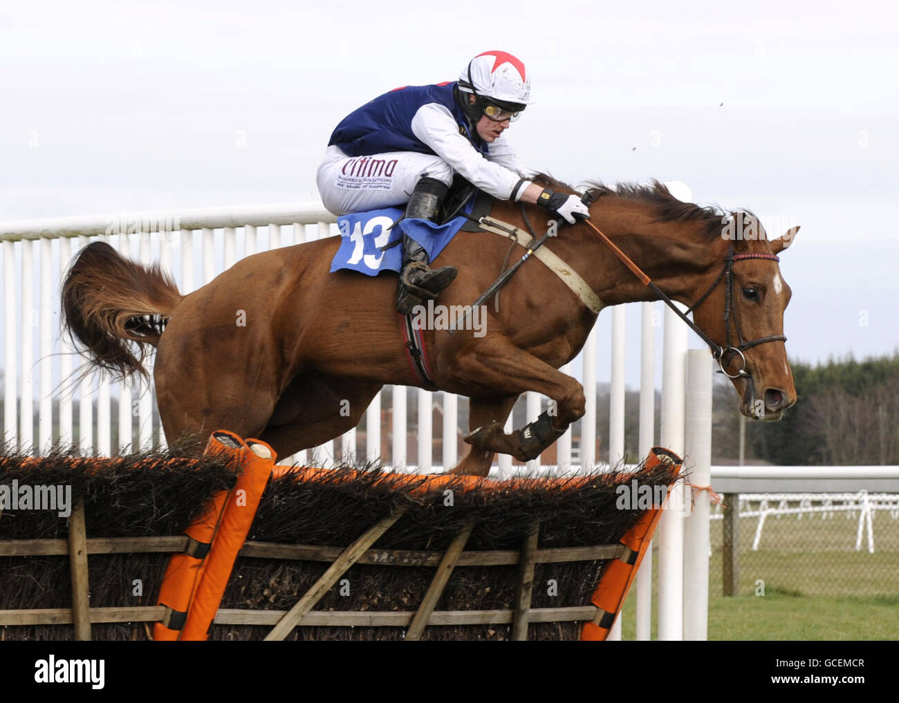 Horse racing at the races raceday plumpton racecourse hi-res stock ...