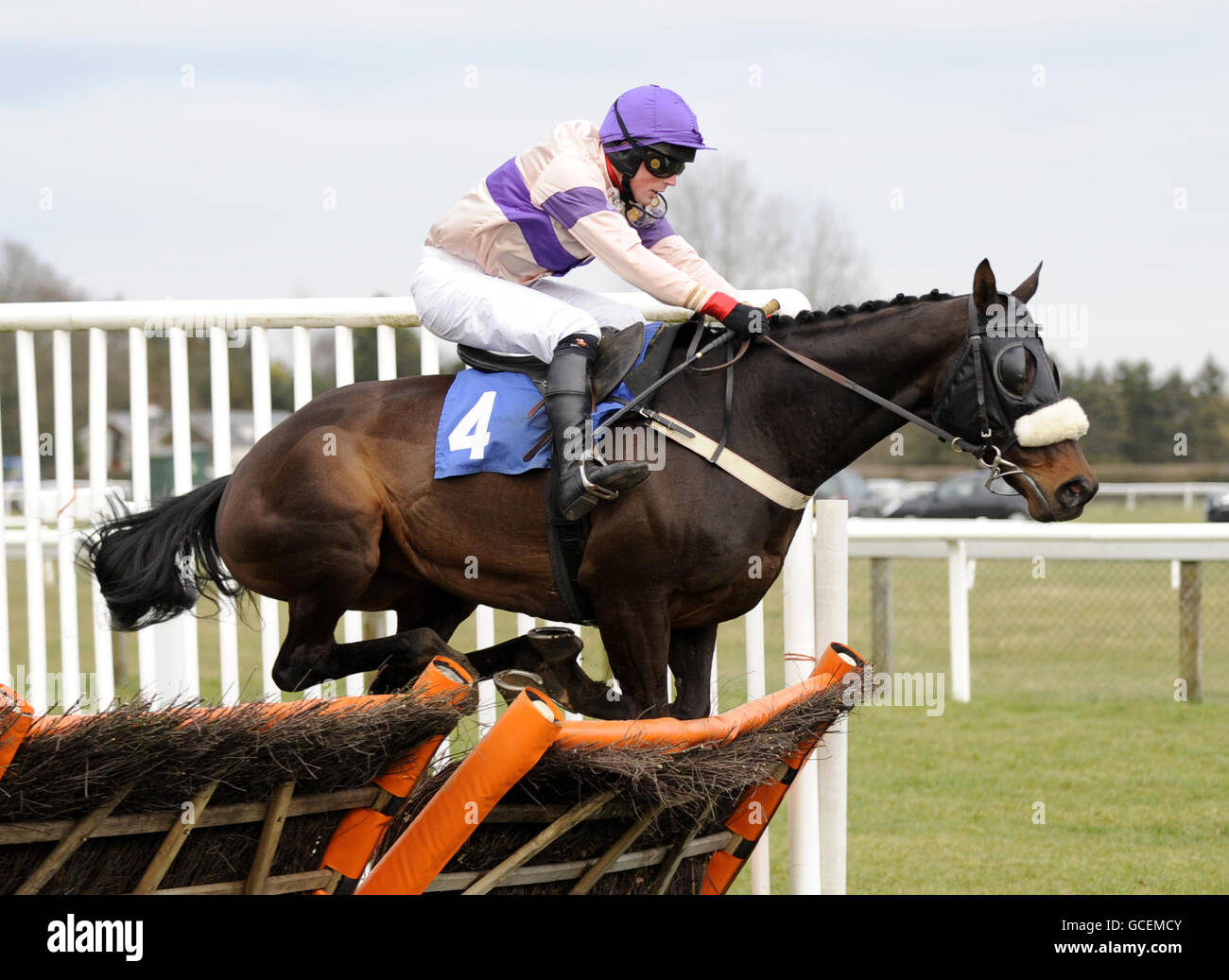 Horse racing at the races raceday plumpton racecourse hi-res stock ...