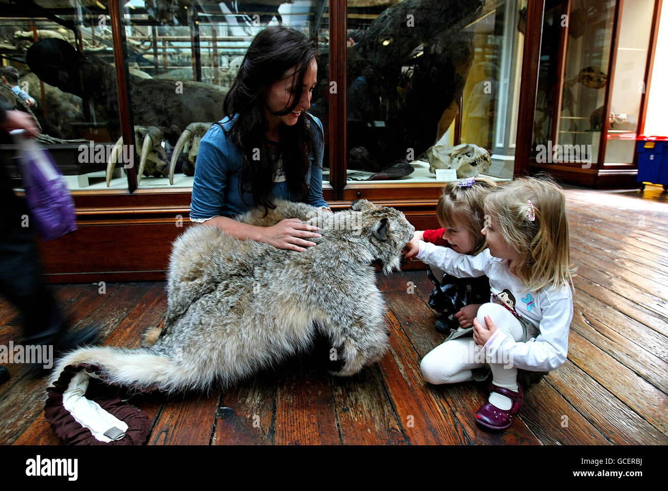 Natural History Museum employee Mary Jane Fitzsimmons with the remains ...