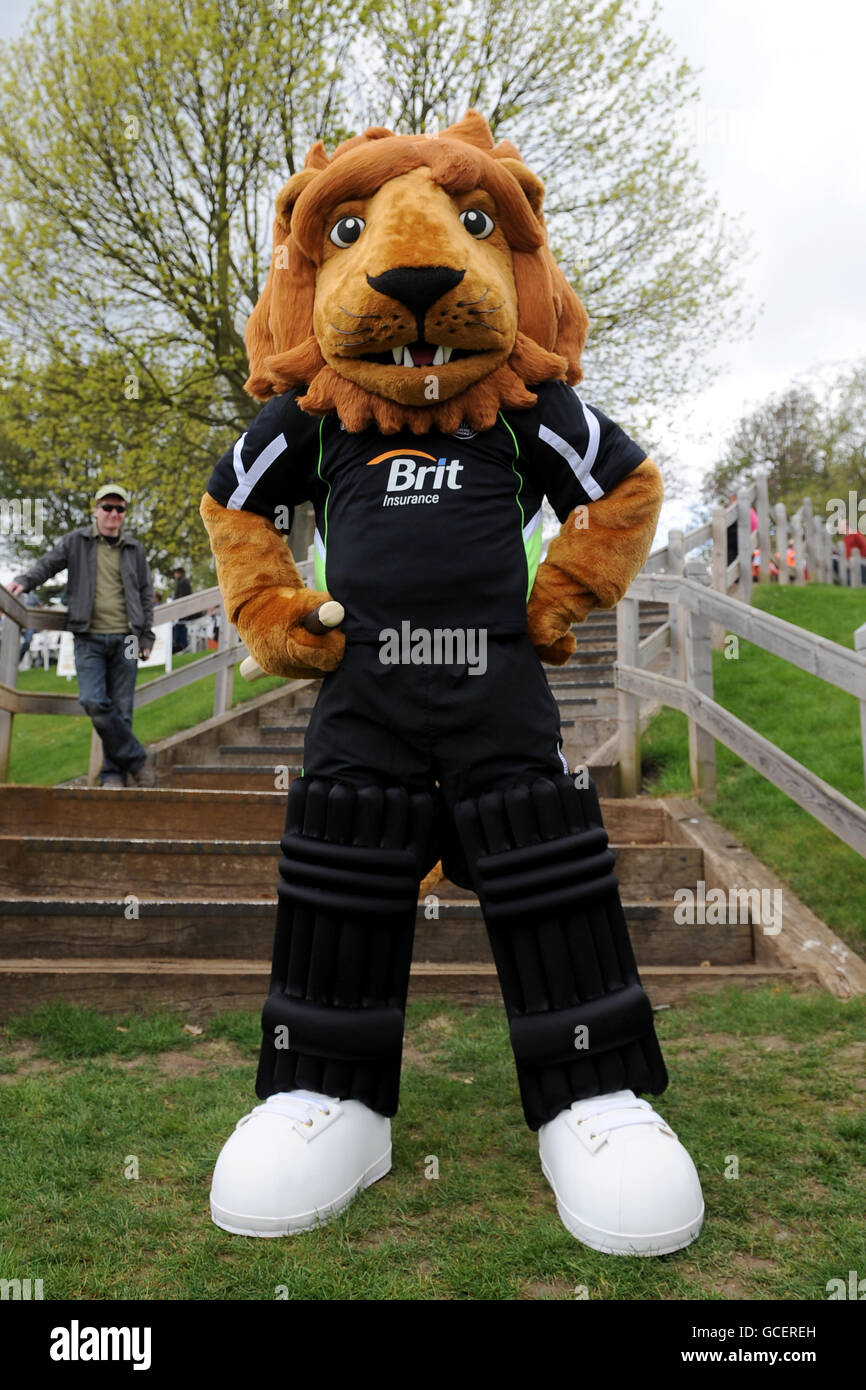 Lion school mascot hi-res stock photography and images - Alamy