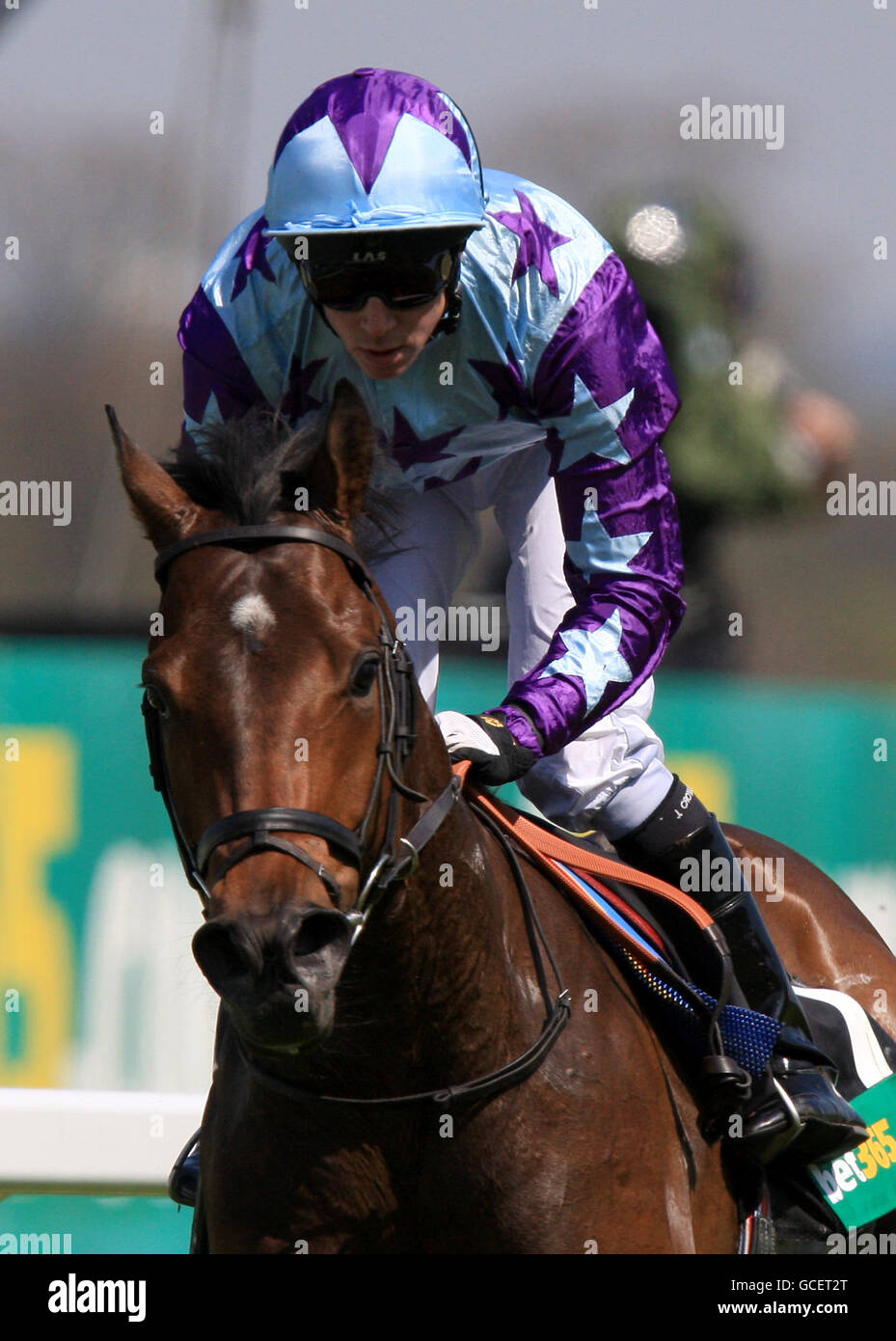 Horse Racing - The bet365 Gold Cup Meeting - Day One - Sandown Park ...