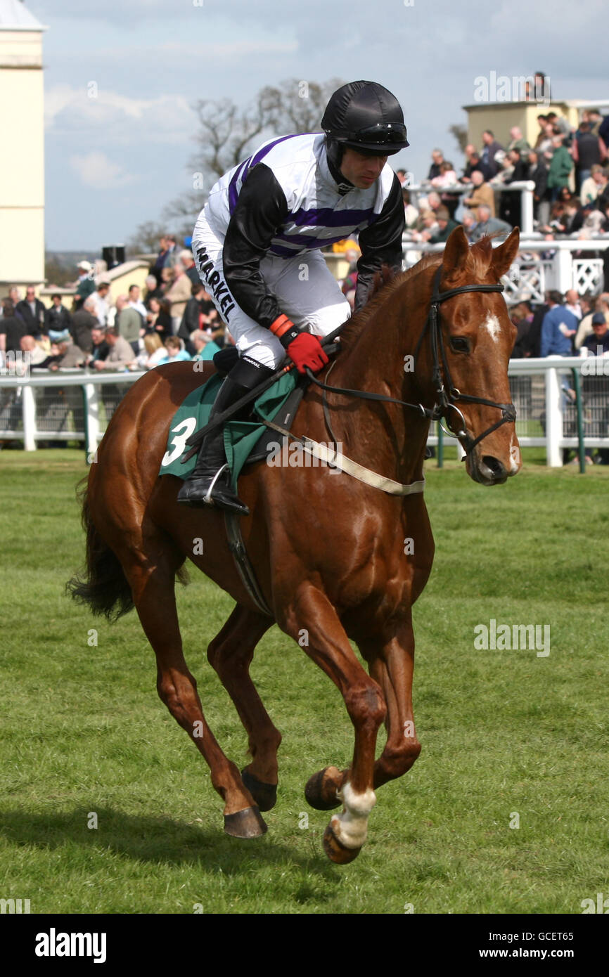 Horse Racing - Towcester Racecourse Stock Photo - Alamy