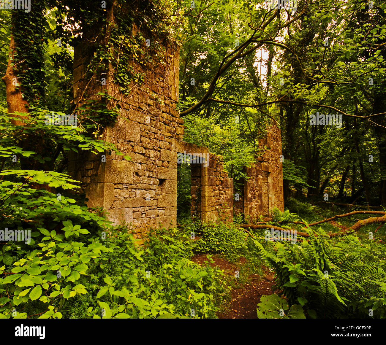 Ruins architecture overgrown neglected hi-res stock photography and ...