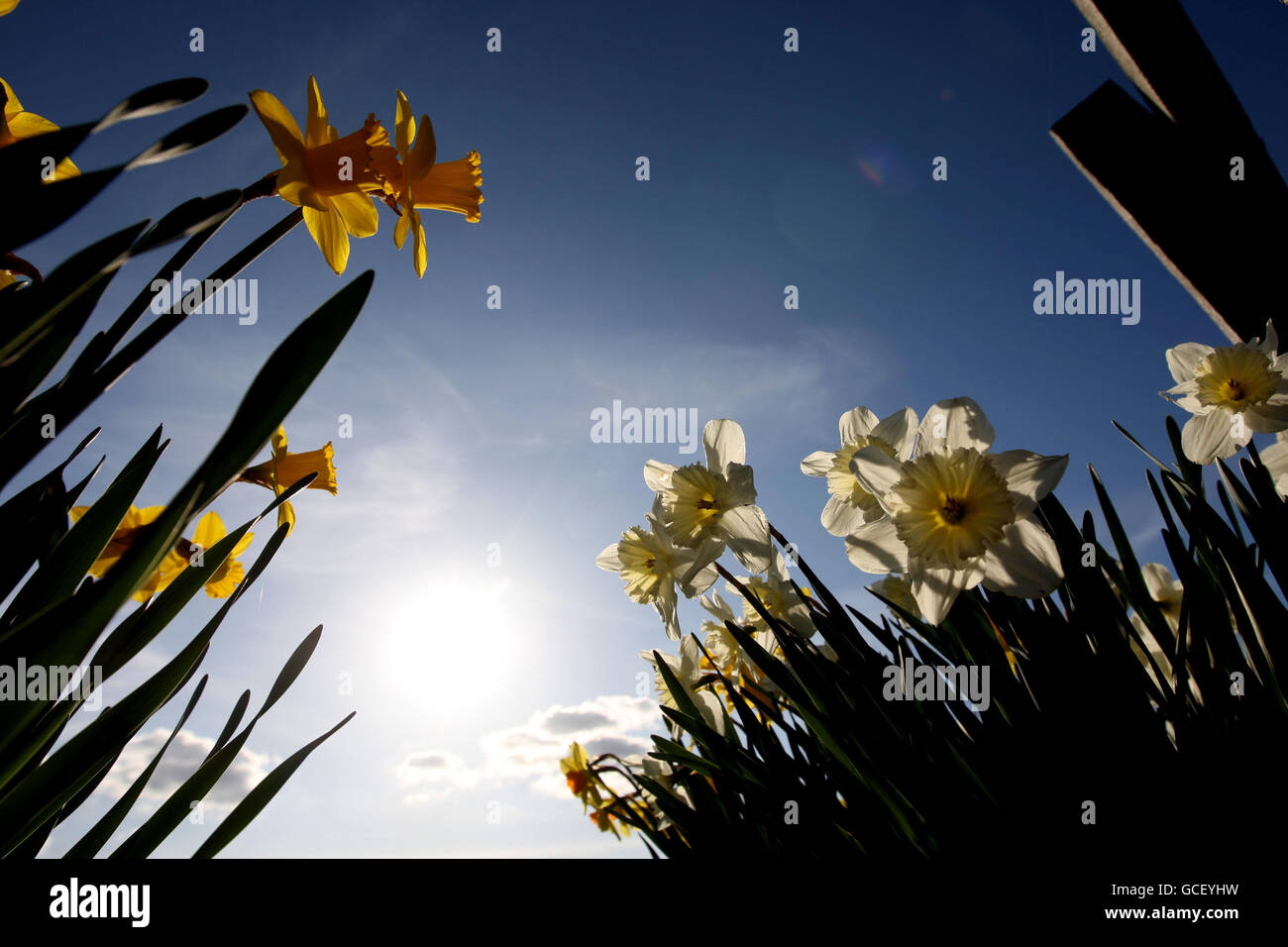 Weather spring britviewfirstround britainimagescollectionmove hi-res ...