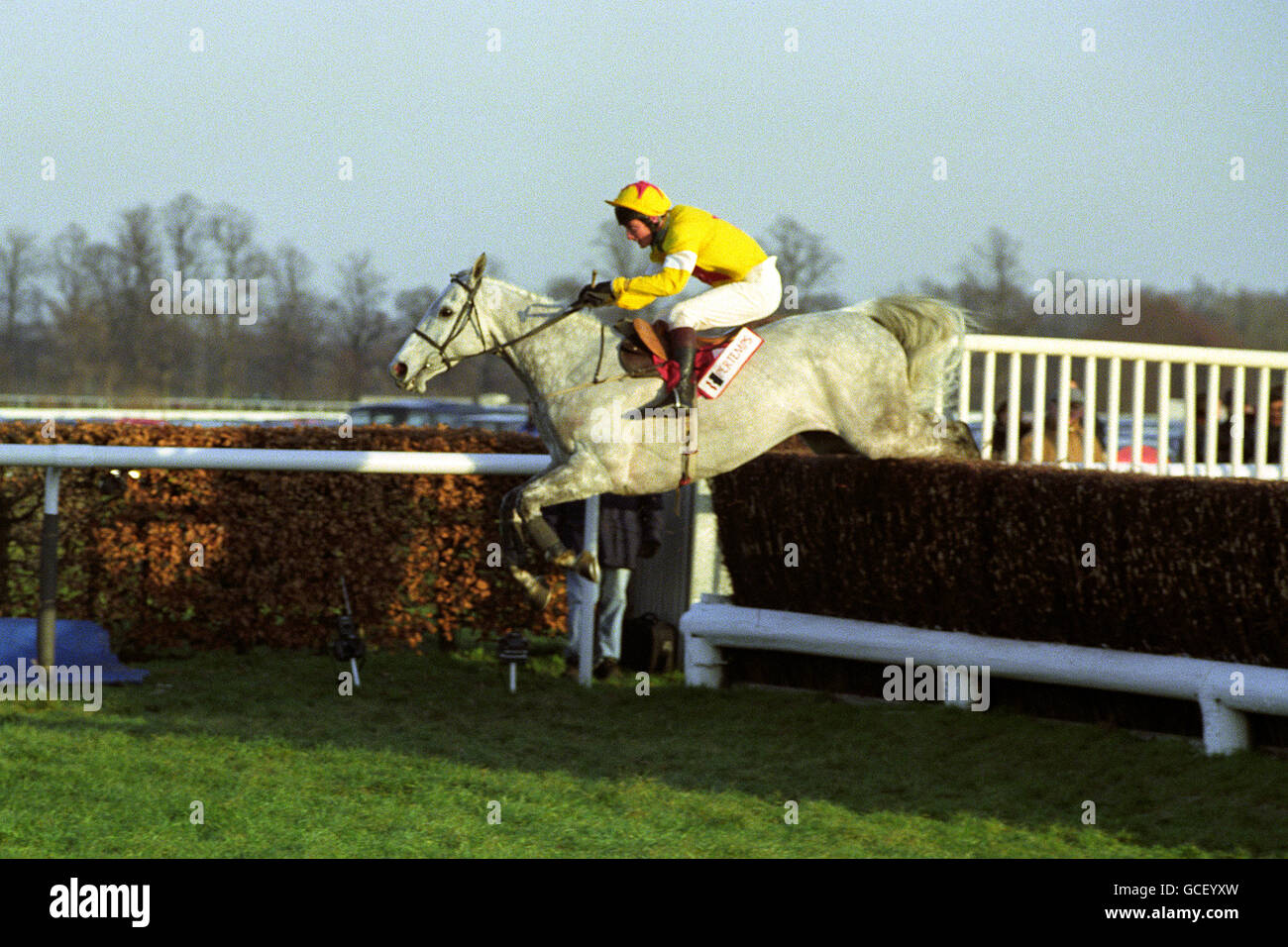 King george vi chase kempton park hi-res stock photography and images ...