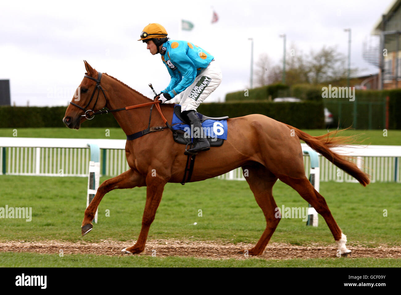 Horse Racing - Hereford Racecourse Stock Photo - Alamy