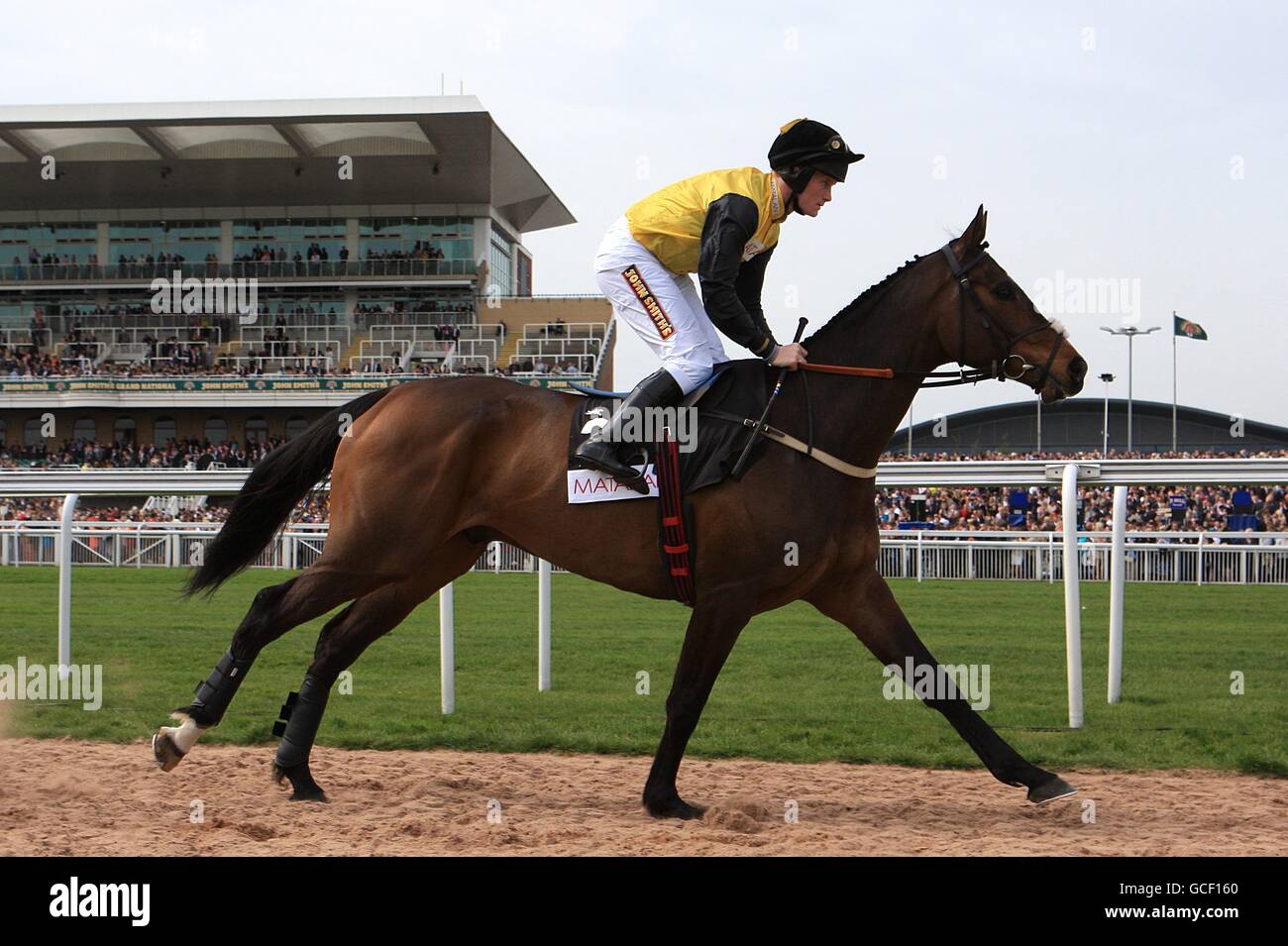 Horse Racing - 2010 John Smith's Grand National - Day Two - Aintree ...
