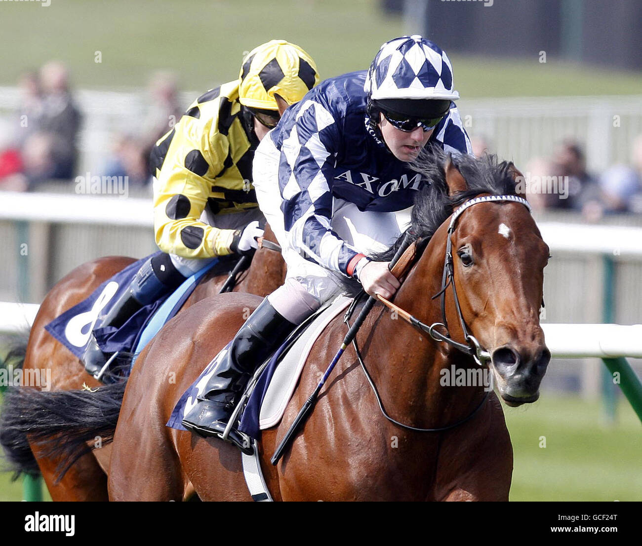 Horse Racing - The Craven Meeting - Day Two - Newmarket Racecourse ...