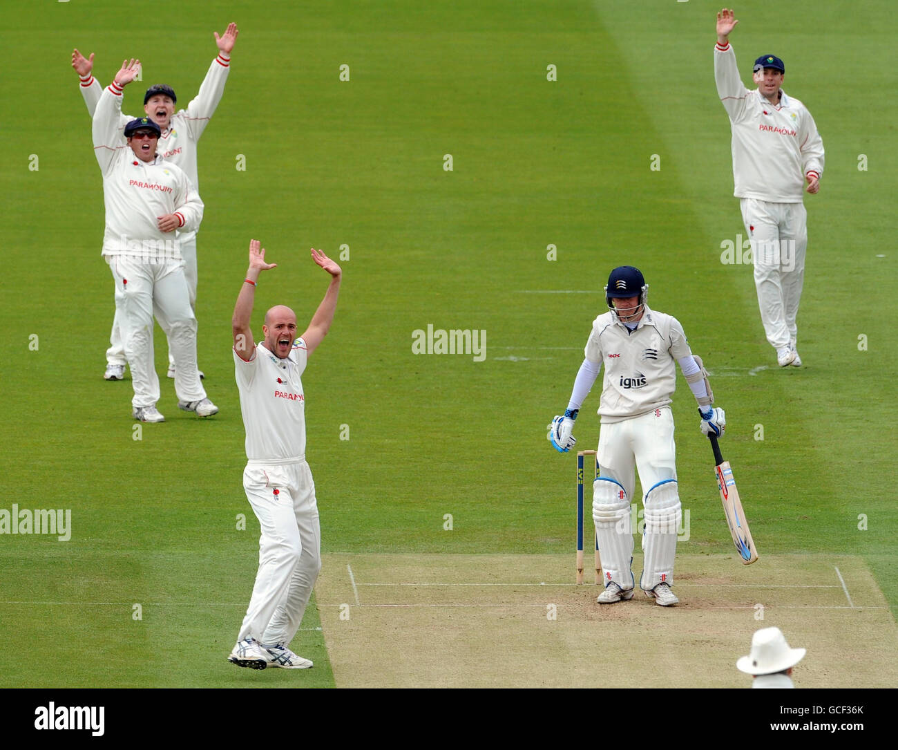 Sport cricket appealing celebrating out hi-res stock photography and ...