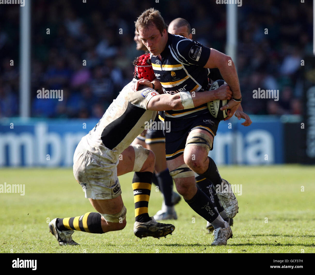 Rugbyu wasps full length tackling mangis hi-res stock photography and ...