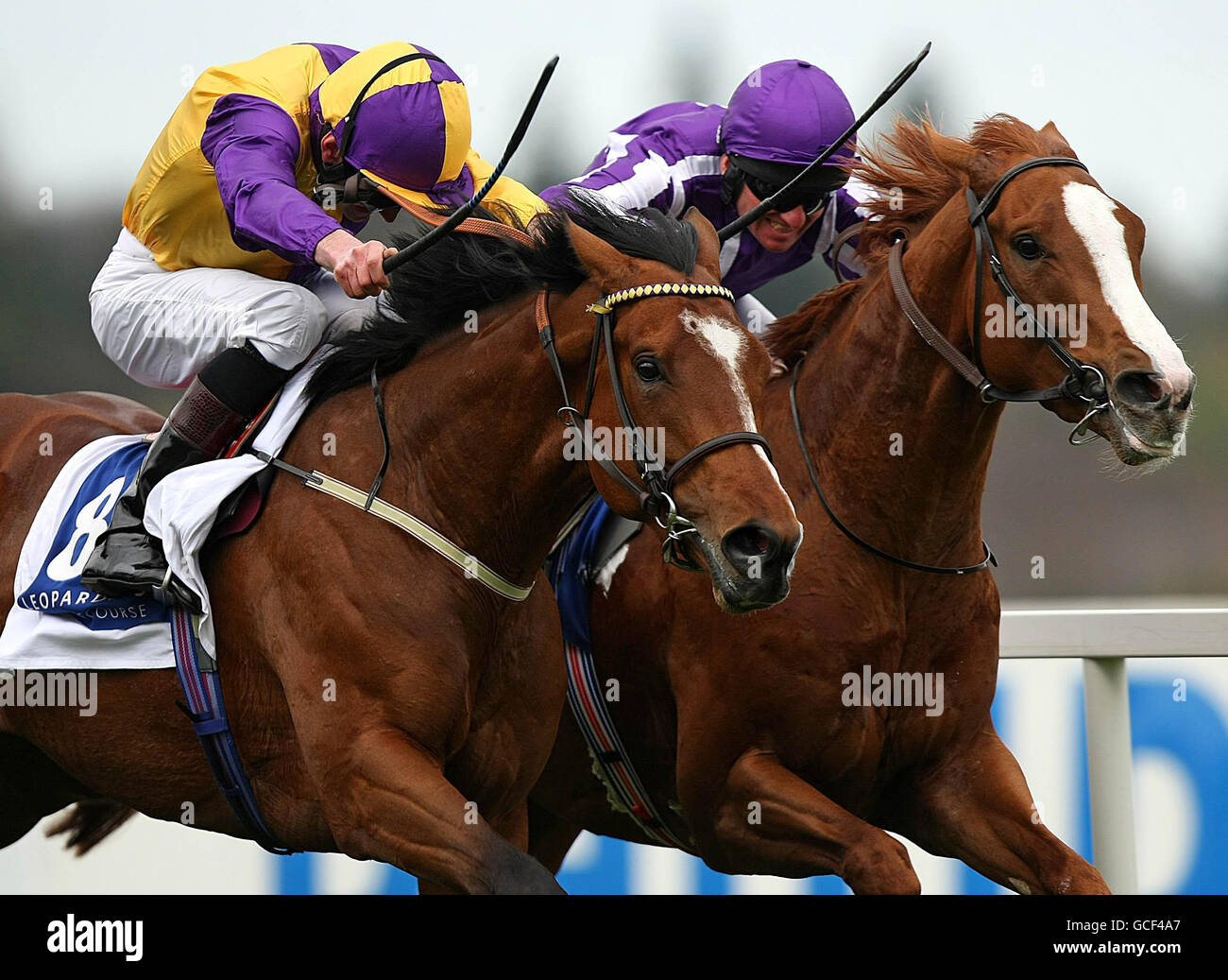 Horse racing family fun day leopardstown racecourse hi-res stock ...