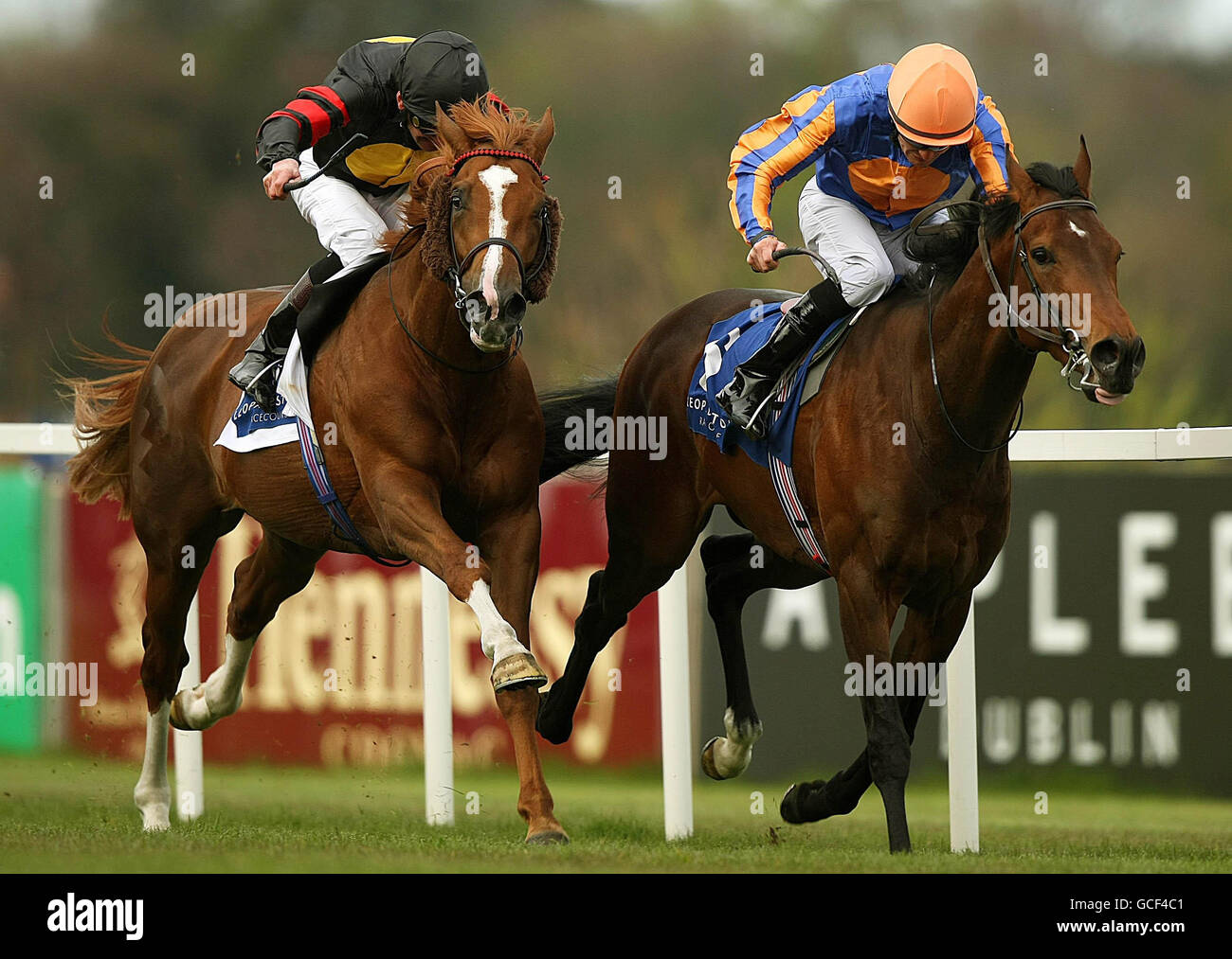 Horse Racing - Family Fun Day - Leopardstown Racecourse Stock Photo - Alamy