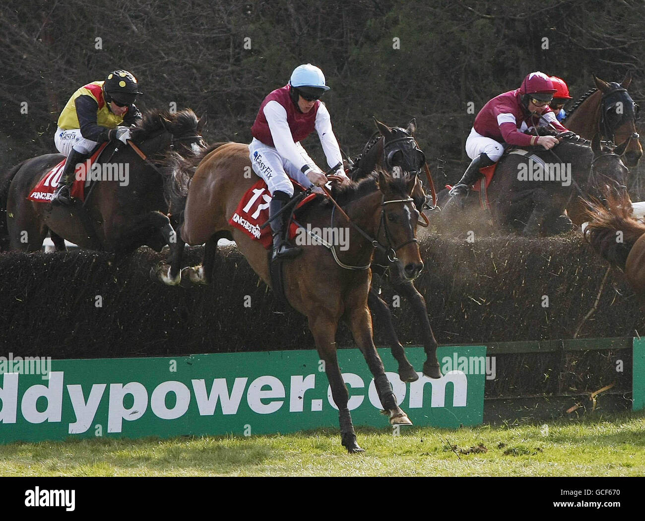 Horse Racing - Punchestown Festival 2010 - Day Four - Punchestown ...