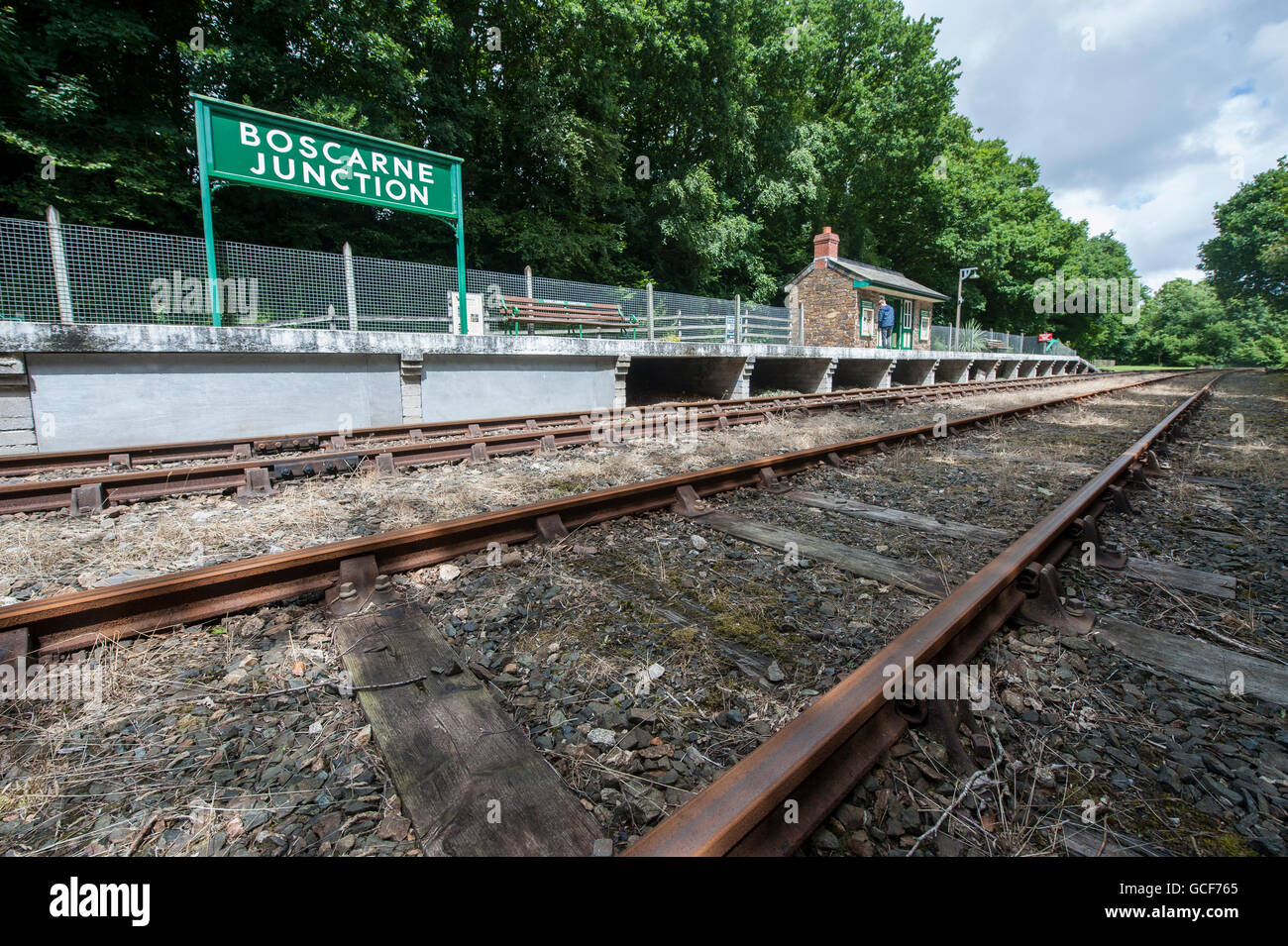 A traditional steam train in the Cornish countryside Stock Photo - Alamy