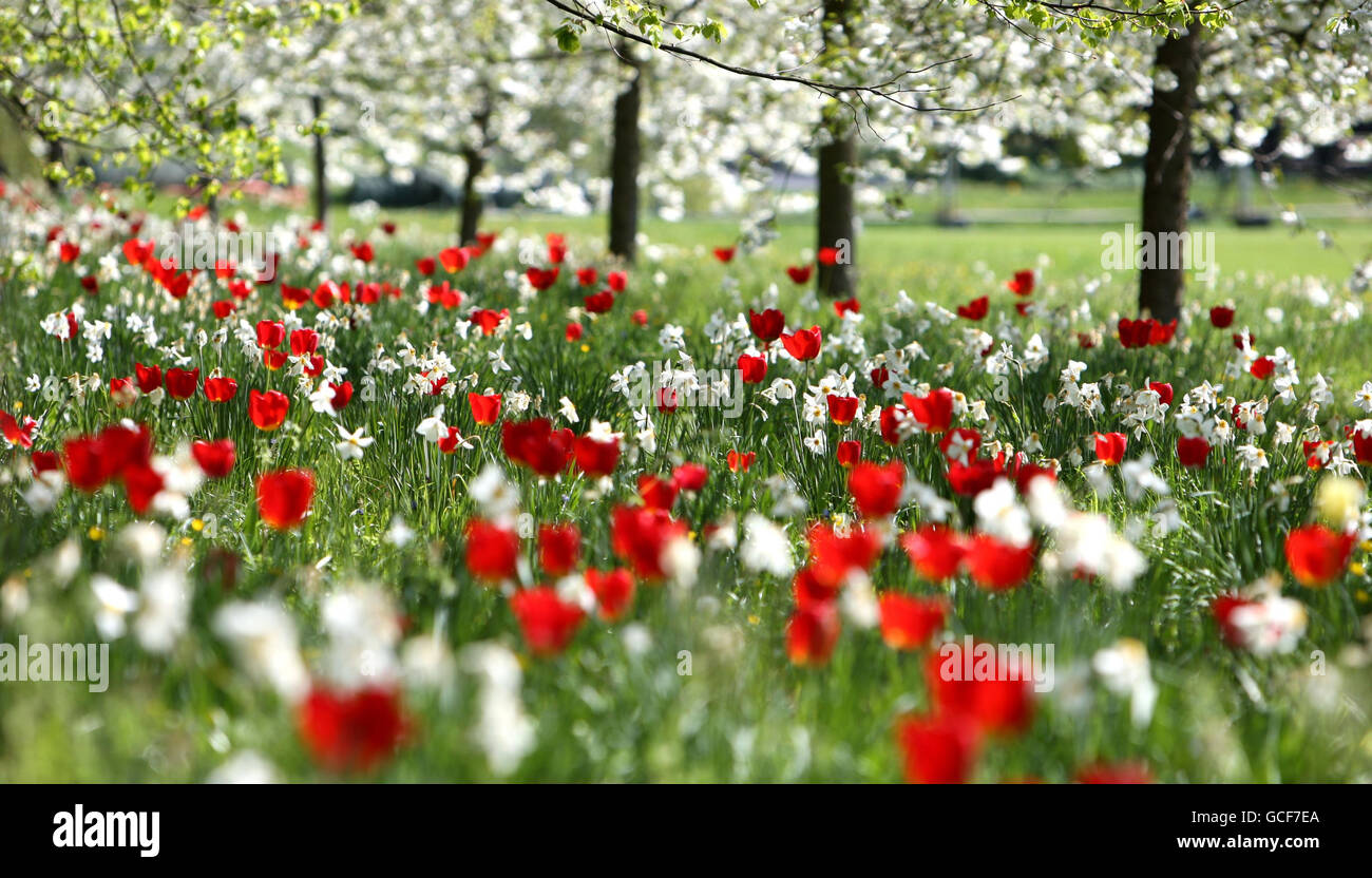 Weather spring hli wip hi-res stock photography and images - Alamy