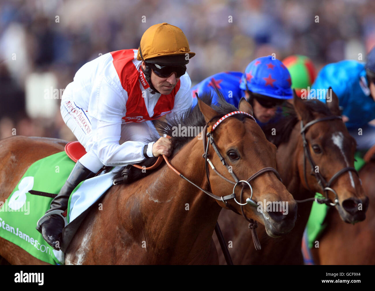 Equiano horse hi-res stock photography and images - Alamy