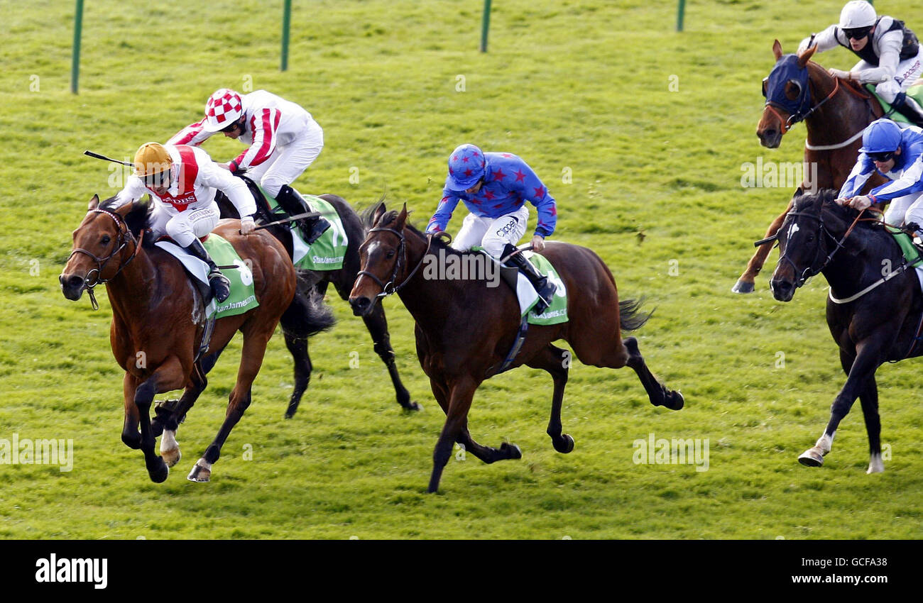 Equiano horse hi-res stock photography and images - Alamy