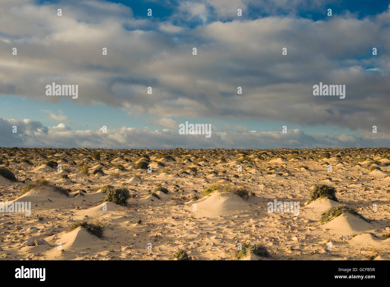 Biogenic sand hi-res stock photography and images - Alamy