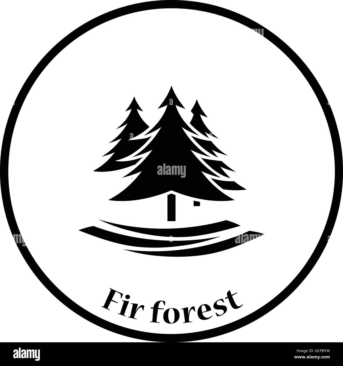Coniferous forest ground Black and White Stock Photos & Images - Alamy